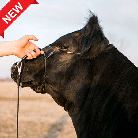 Phantom Cattle Halter – Heritage Farm Supply, LLC
